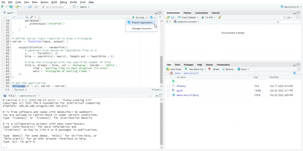 How to publish a Shiny App in RStudio Connect? – ICTO – FAQ